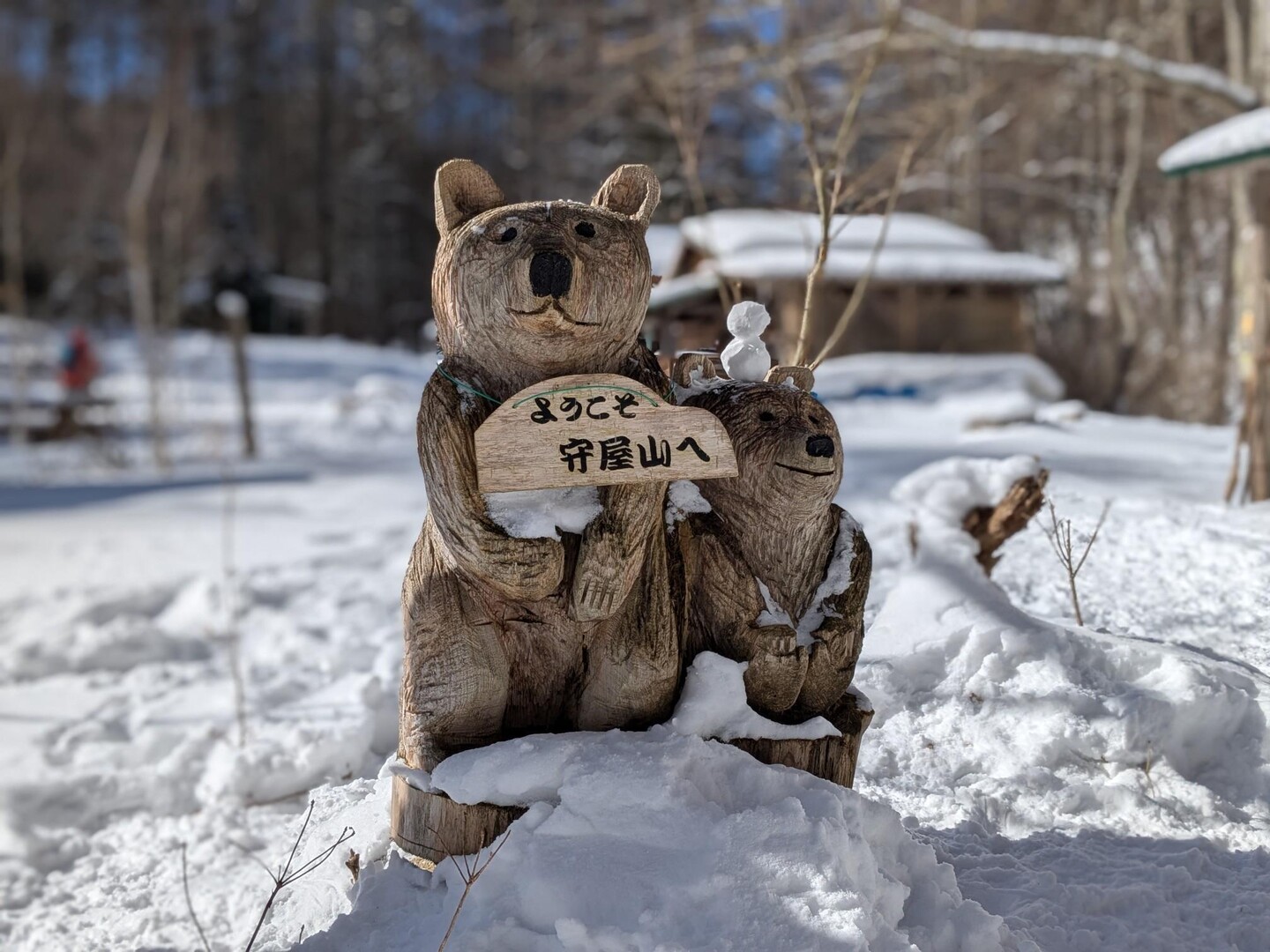 守屋山東峰・守屋山中嶽・守屋山 / emi.sanさんの守屋山の活動データ | YAMAP / ヤマップ