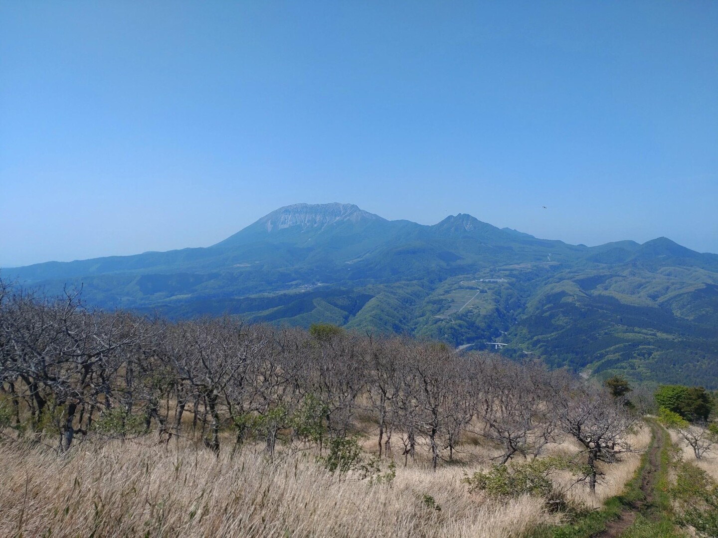 三平山・朝鍋鷲ヶ山・金ヶ谷山 / VDGGさんの毛無山の活動データ | YAMAP / ヤマップ