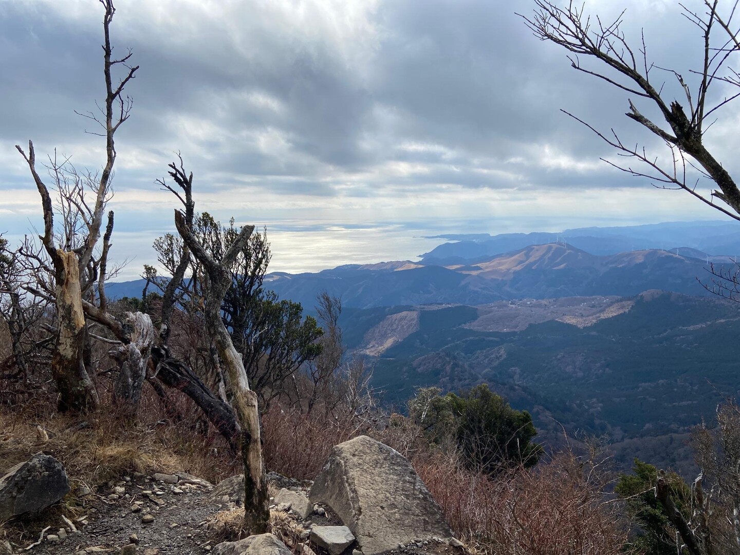 万二郎岳（天城山）・万三郎岳（天城山） / naoto.yさんの天城山・鉢ノ山・三筋山の活動データ | YAMAP / ヤマップ
