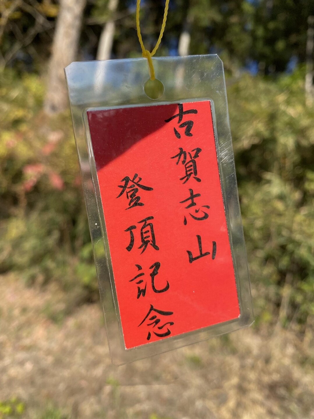 古賀志山-2022-11-19 / らあめんLv12さんの古賀志山・赤岩山・鞍掛山・男抱山・半蔵山の活動データ | YAMAP / ヤマップ