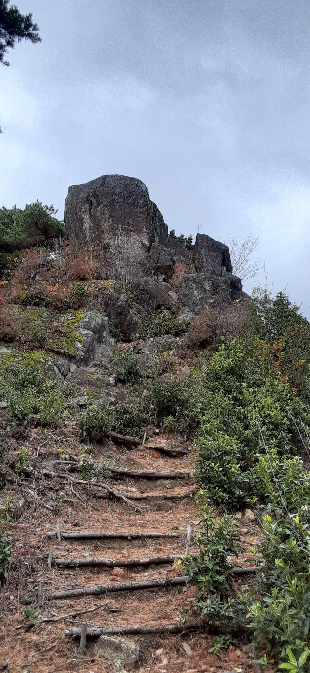 Shinさんの投稿したフィールドメモ | YAMAP / ヤマップ