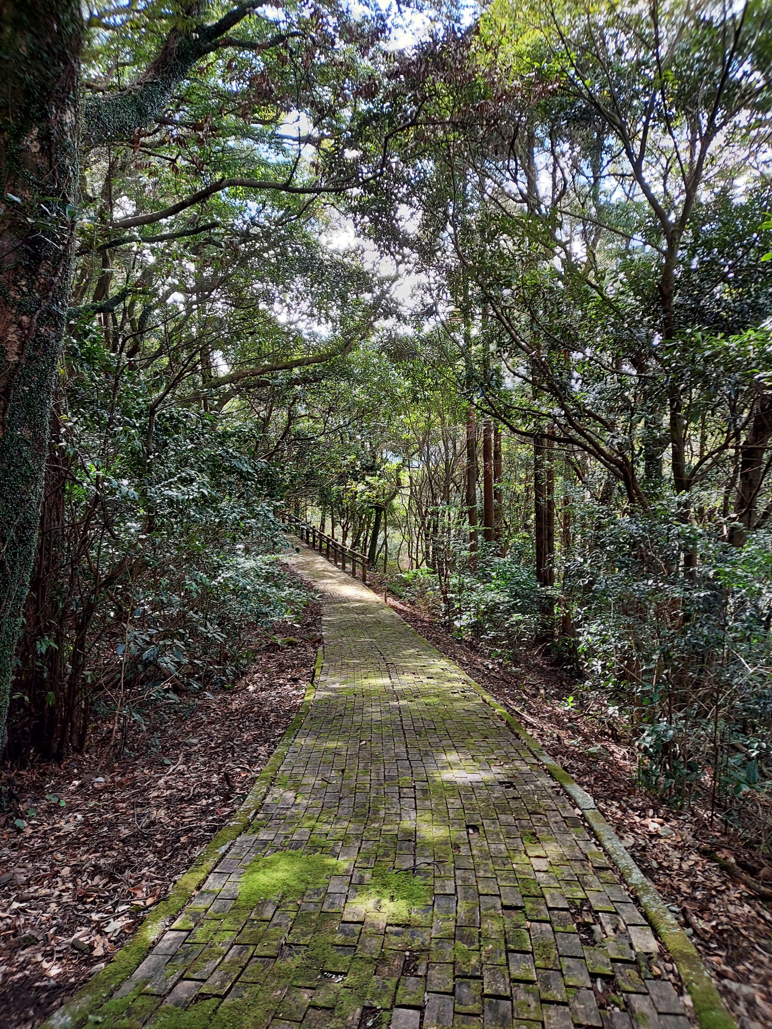 第2高畑山 市民いこいの森公園 / derainandreさんの男鈴山・女鈴山の活動データ | YAMAP / ヤマップ