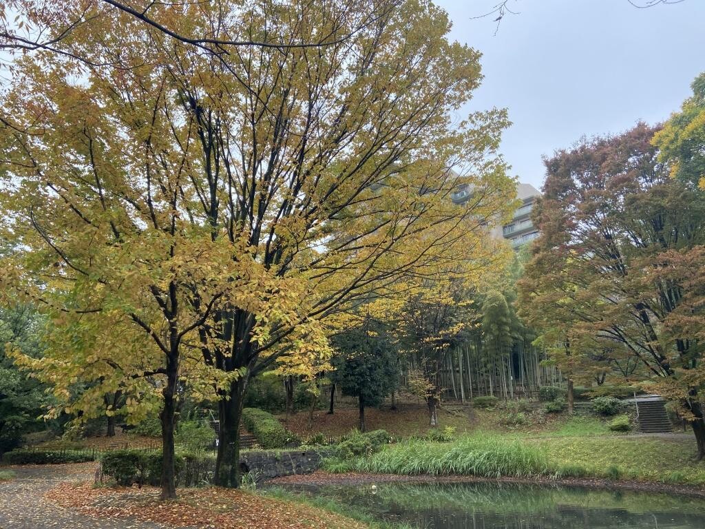 港北NT散策その1（茅ヶ崎城址・都筑中央公園等）＜ダイジェスト版＞ / Genkidさんの横浜市 北エリアの活動データ | YAMAP / ヤマップ