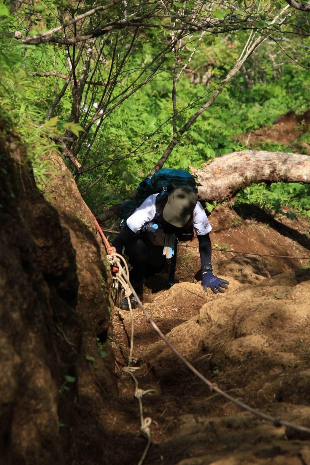 定山渓天狗岳 / taka.さんの朝日岳・夕日岳の活動日記 | YAMAP / ヤマップ