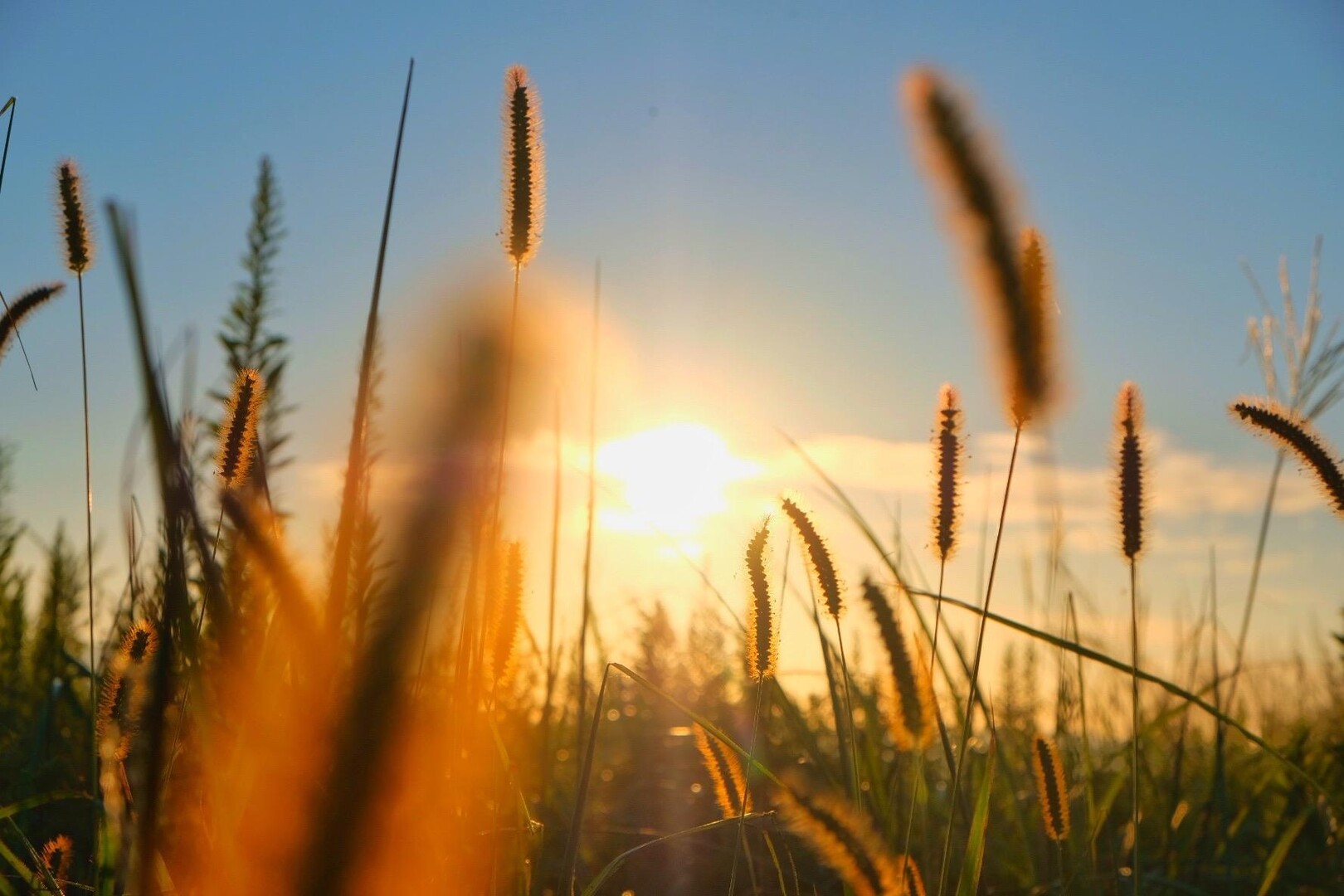 平尾台でお月見🌕 お誘い頂いたので行っ... / Ayaさんのモーメント | YAMAP / ヤマップ