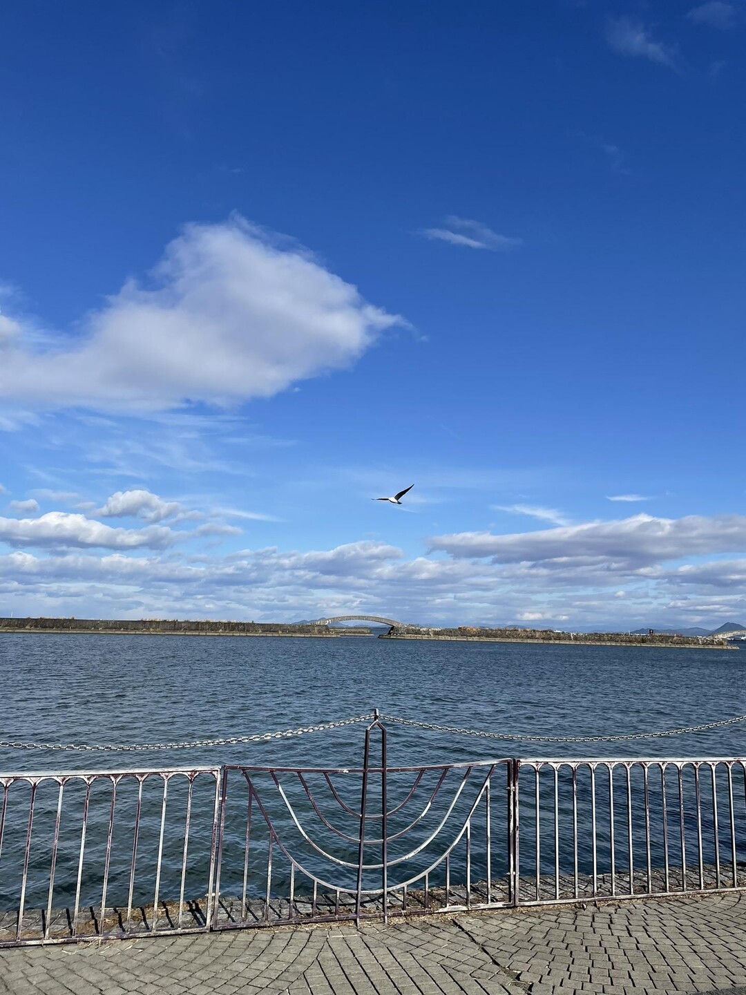 「勝手に六甲山系と海抜0m自宅を繋げる東側編最終」公共交通機関のみ あとはひたすら歩く / あまのこさんの京都一周トレイルの活動データ | YAMAP / ヤマップ