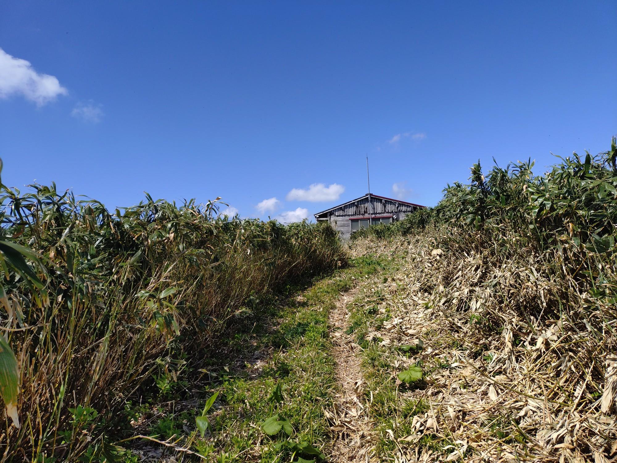 大日山あたり山歩 wt，7.4kg / toshiさんの大日山・越前大日山（越前甲）・鈴ヶ岳の活動データ | YAMAP / ヤマップ