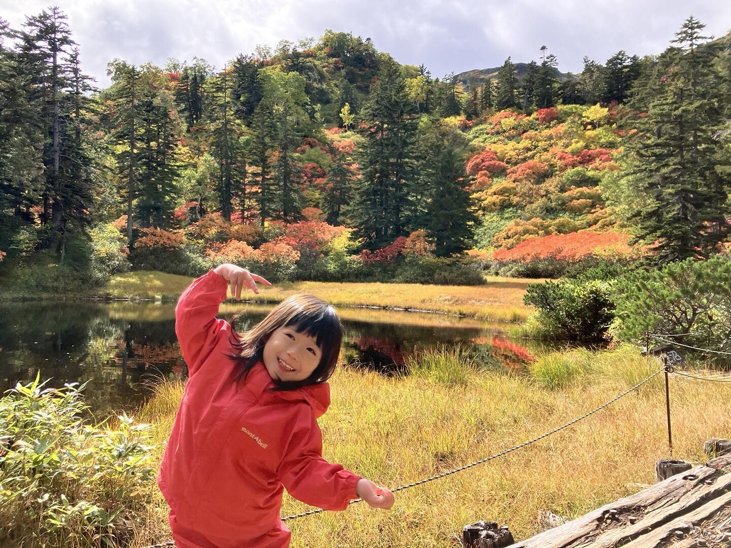 最高の紅葉！でもヒグマ出没注意！ / non-chanさんの大雪山系・旭岳・トムラウシの活動データ | YAMAP / ヤマップ