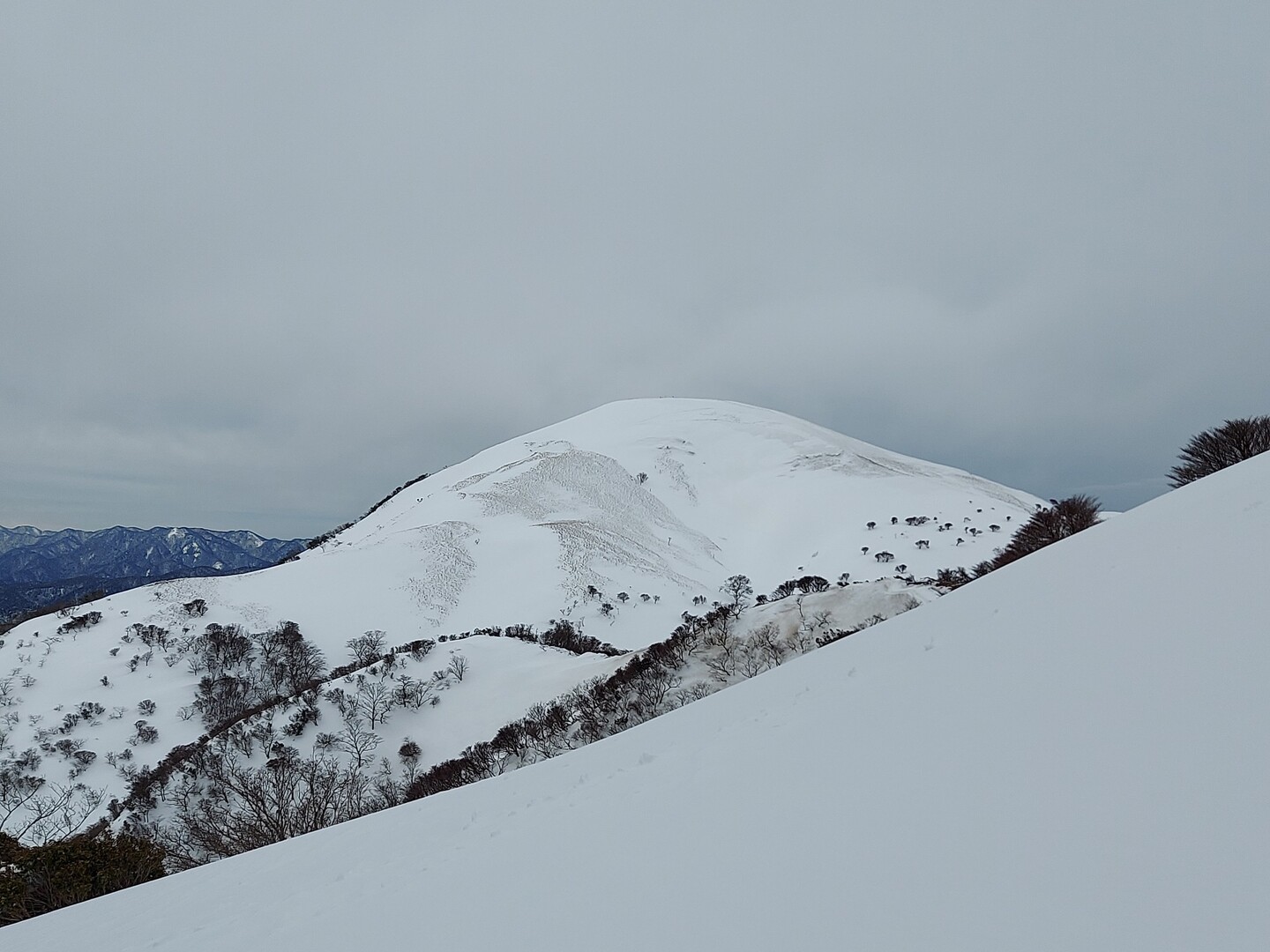 竜ヶ岳🗻ホワイトドラゴ～ン🐉 / YAMA-Gさんの竜ヶ岳の活動日記 | YAMAP / ヤマップ