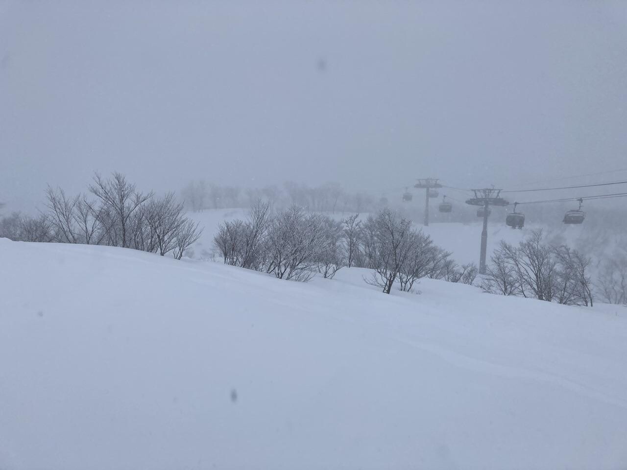 ロッテアライスキー場 / yuki-yamaさんのロッテアライリゾートの活動データ | YAMAP / ヤマップ