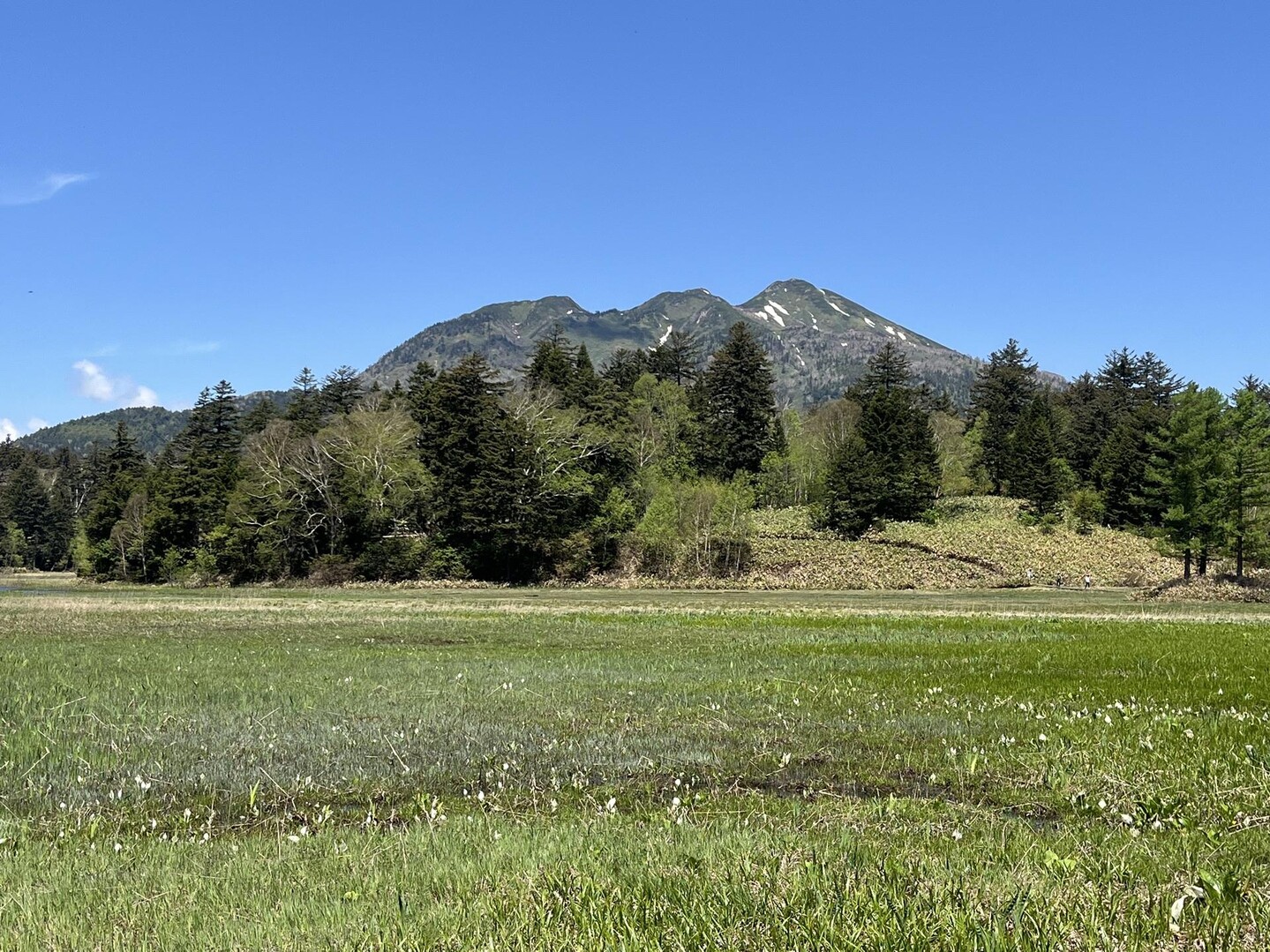 御池から尾瀬周回 / Jimamanさんの尾瀬・燧ヶ岳の活動データ | YAMAP / ヤマップ