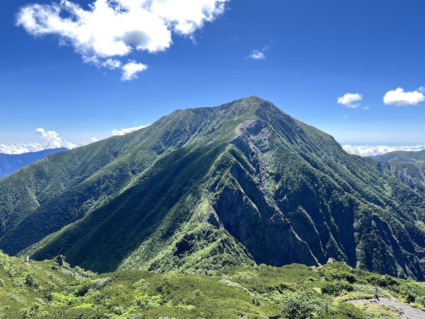 聖岳・兎岳・中盛丸山・大沢岳・上河内岳 / togonovoさんの聖岳・大沢岳・光岳の活動データ | YAMAP / ヤマップ