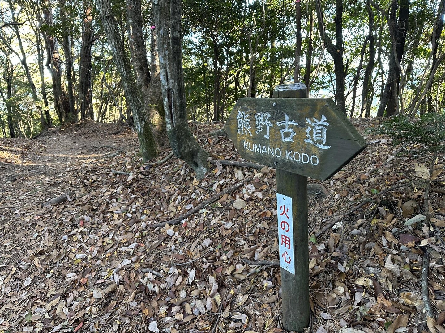 中辺路を歩こう。軌跡は近露までだけど、ほんとは熊野本宮大社まで。 / tamiwaさんの熊野古道 中辺路①（紀伊田辺駅〜熊野本宮大社）の活動データ | YAMAP / ヤマップ