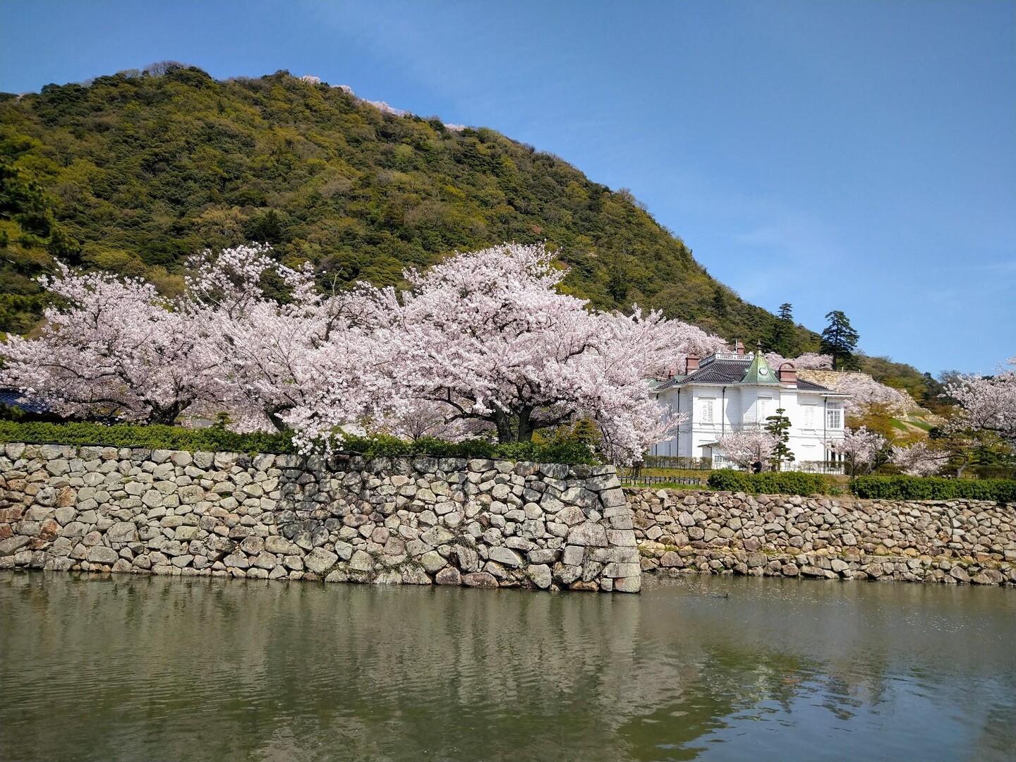 久松山サイクリング&ウォーキング / akkieさんの鳥取市の活動データ | YAMAP / ヤマップ
