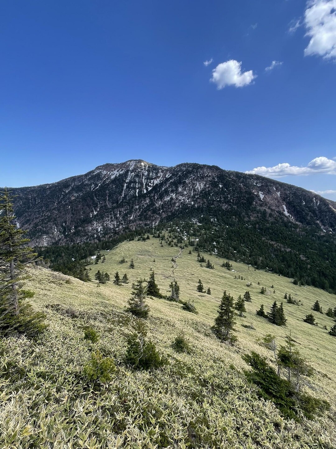 ダイエットざん-2024-05-04 / MURAさんのウォーキングの活動データ | YAMAP / ヤマップ