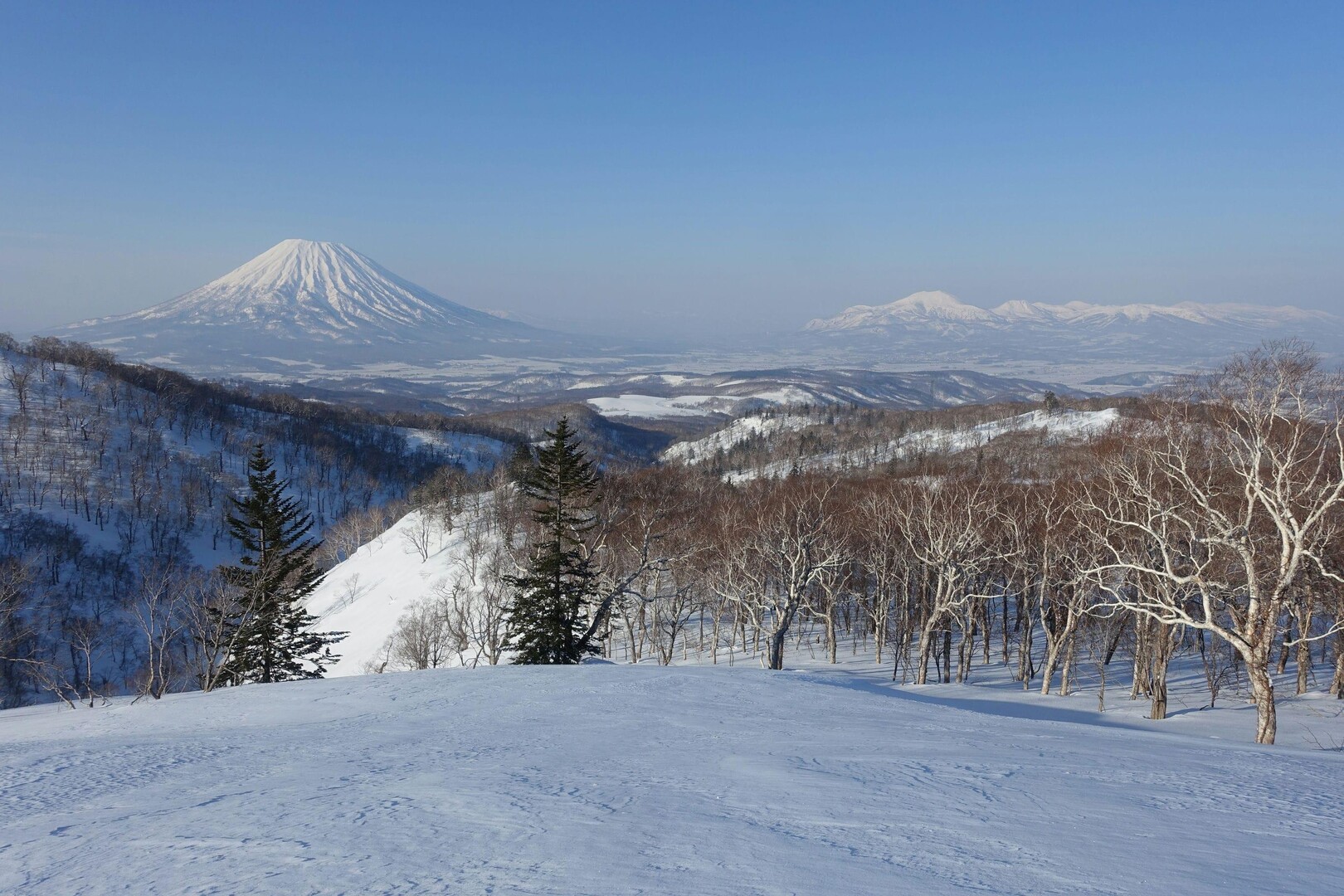 本倶登山BC / Ryoさんの本倶登山の活動データ | YAMAP / ヤマップ