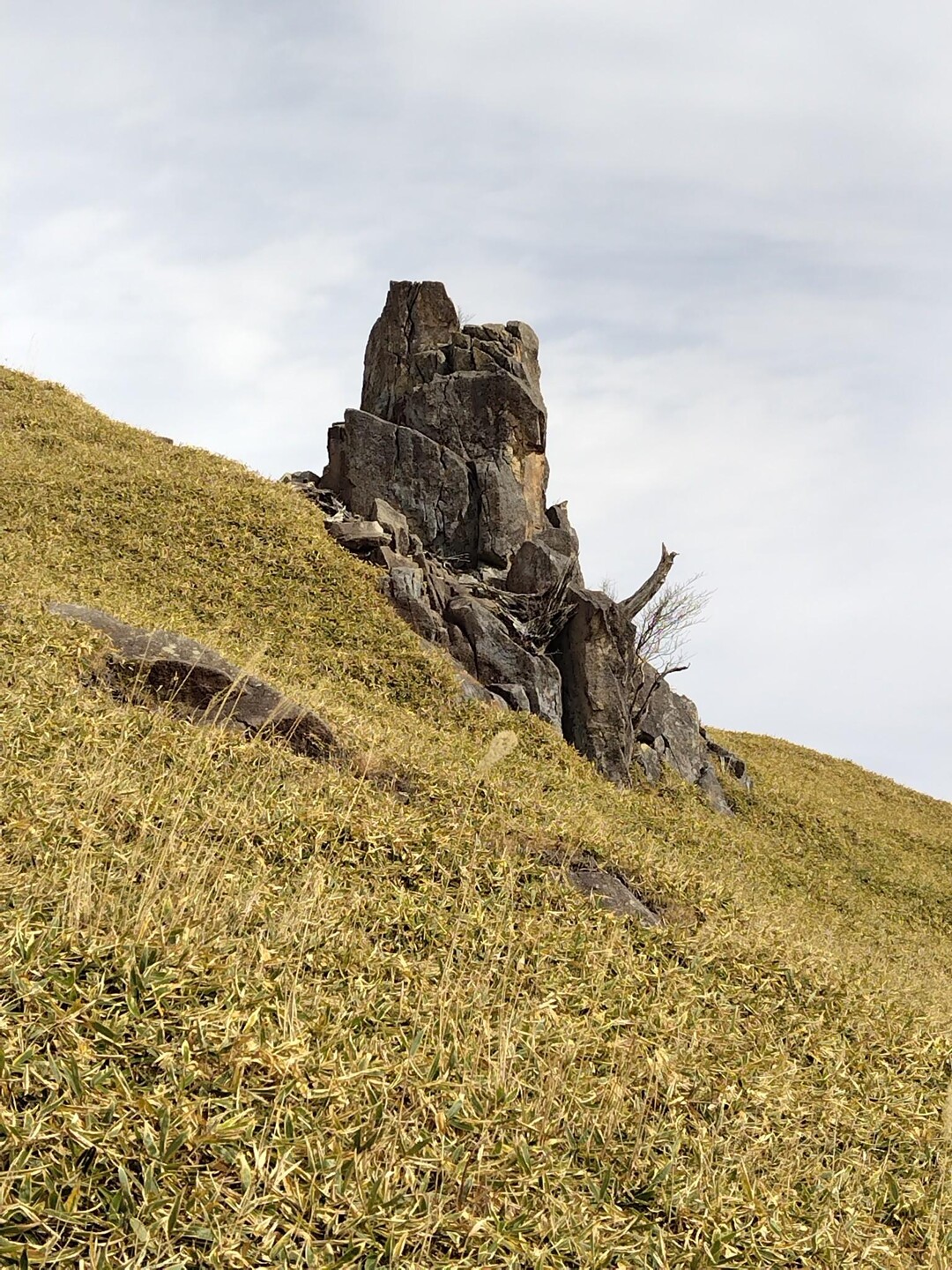 オロ山手前の笹原まで / kabekkeさんの社山・半月山の活動データ | YAMAP / ヤマップ