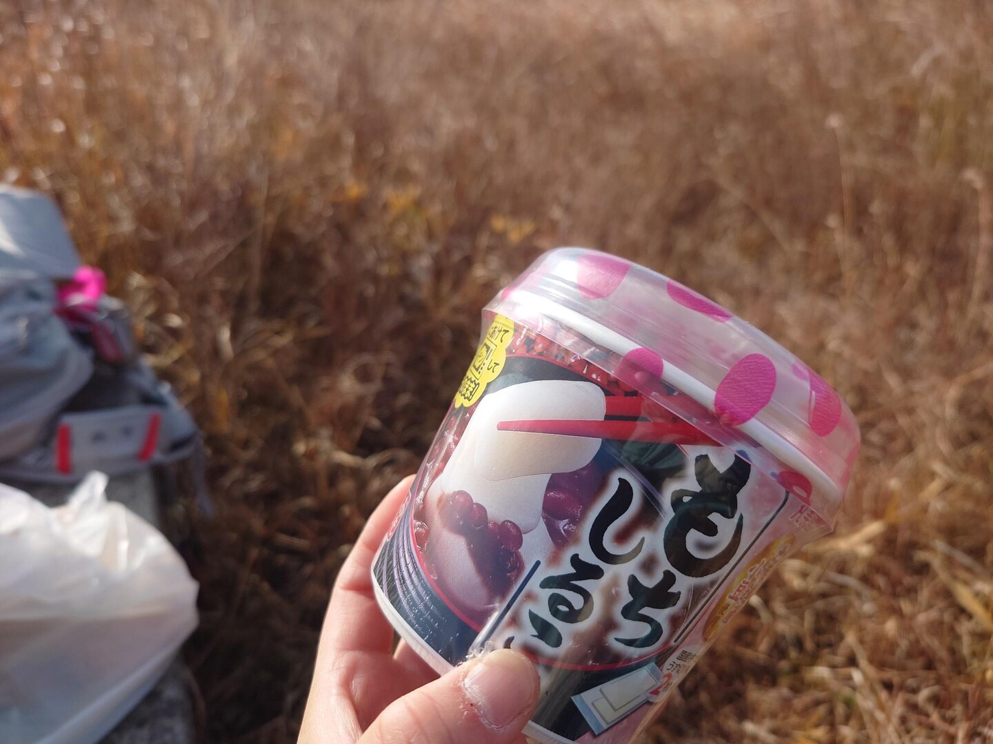 本日、年始お休み最後のお楽しみ「秋吉台遠... / mikitさんのモーメント | YAMAP / ヤマップ