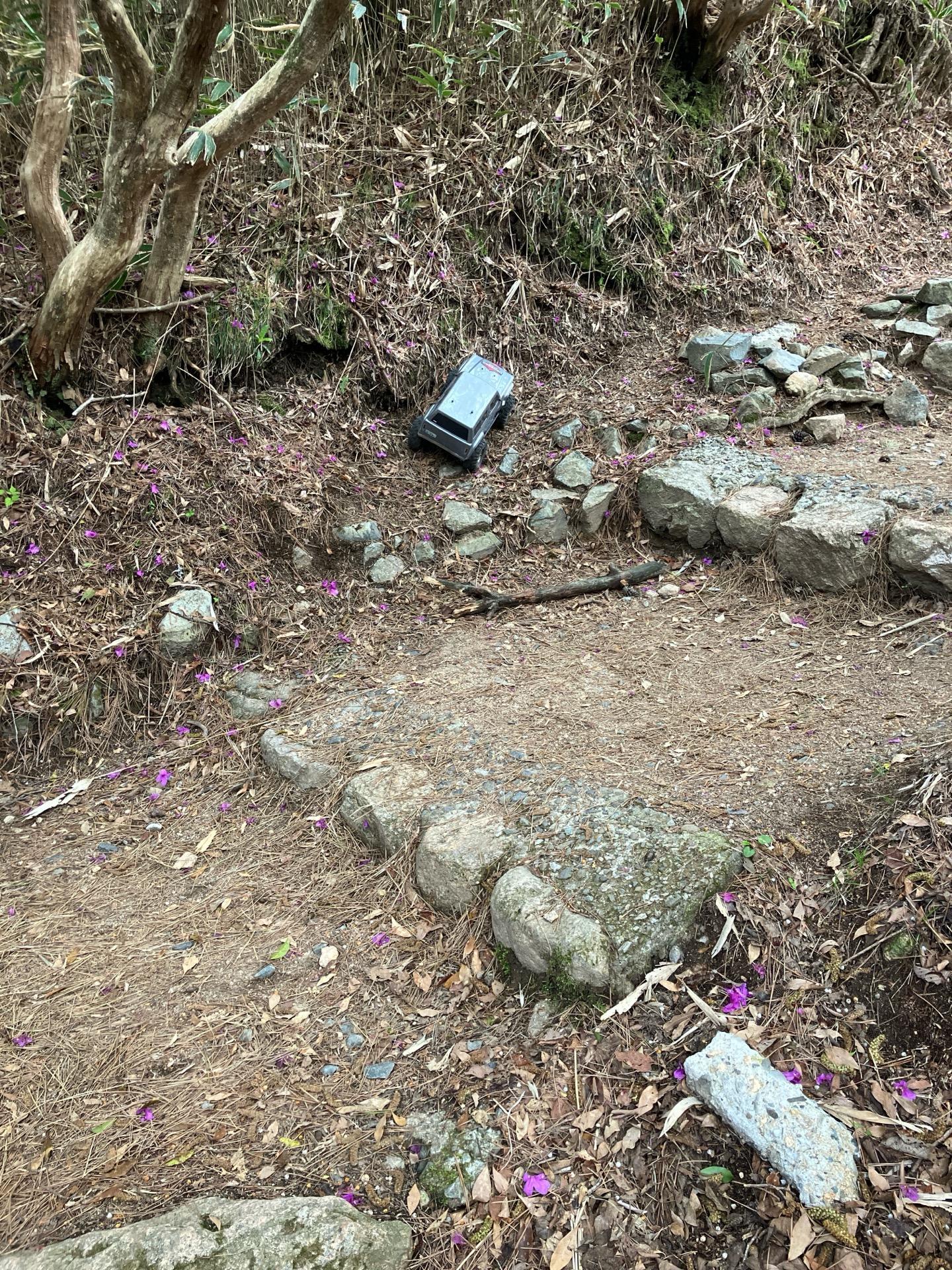 新感覚の登山🤭 ラジコンで登山道を駆... / NBOX3180さんのモーメント | YAMAP / ヤマップ