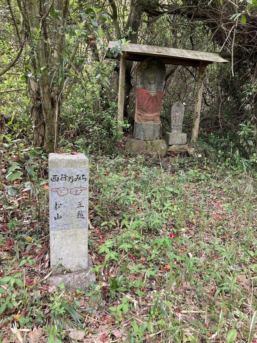 厳島神社〜前山〜鎌刃越〜休暇村 / tairaさんの四国遍路その19の活動データ | YAMAP / ヤマップ