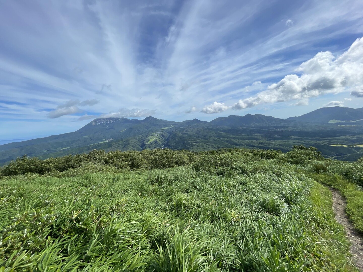 ゴマを求めて三平山 / umonさんの毛無山の活動データ | YAMAP / ヤマップ