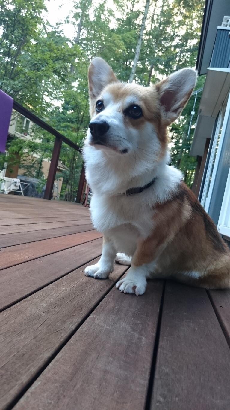 Kazu-Hiroのページ | YAMAP / ヤマップ