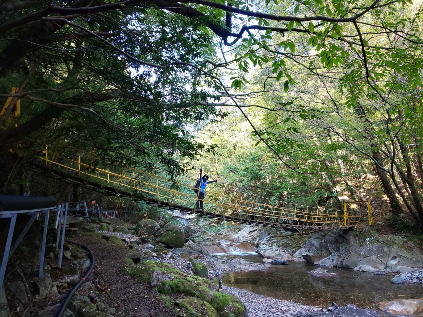 祖母山・尾平～宮原～黒金尾根 / kenri33さんの祖母山の活動データ | YAMAP / ヤマップ