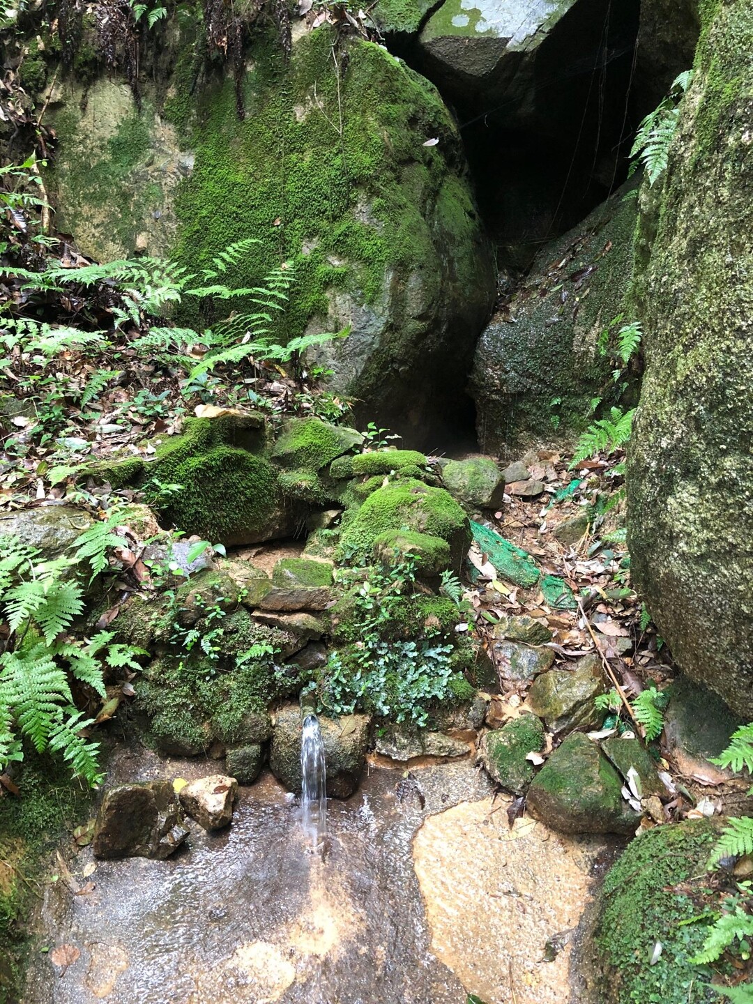 Jyuzaさんの投稿したフィールドメモ | YAMAP / ヤマップ