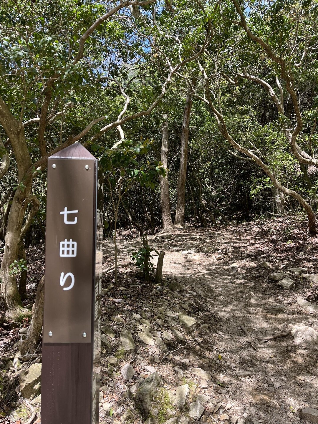 GW ︎東お多福山から六甲山最高峰へ / coccoさんの六甲山・長峰山・摩耶山の活動データ | YAMAP / ヤマップ