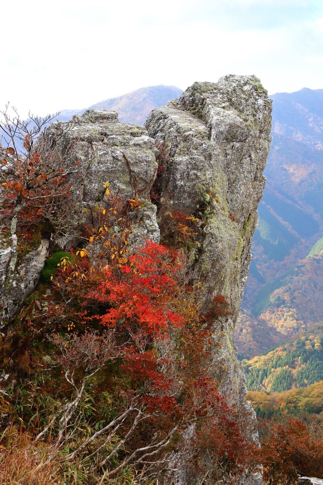 塔丸 / Tajiさんの剣山の活動データ | YAMAP / ヤマップ