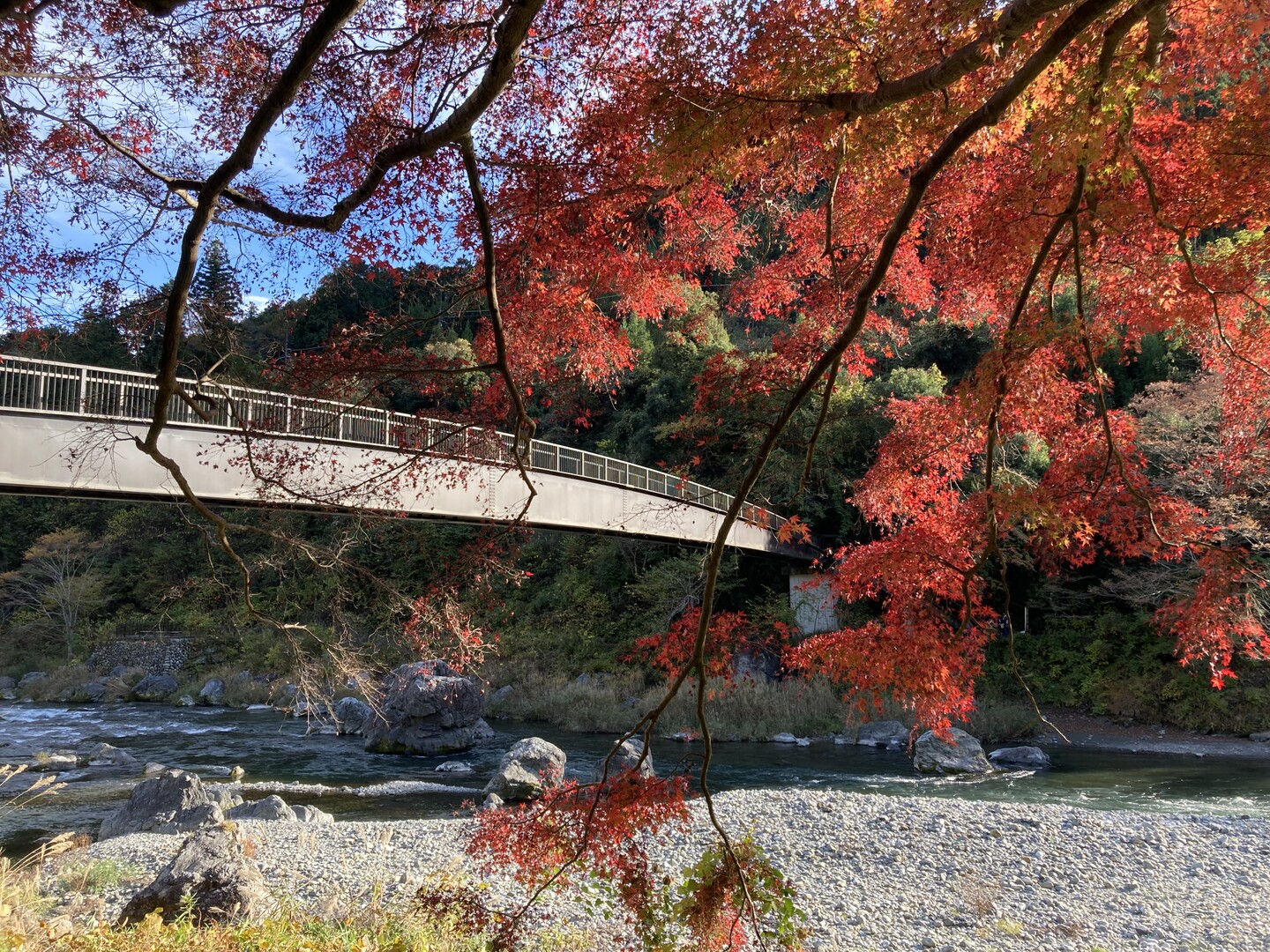 高水三山・御岳渓谷 / orihinukさんの高水山・岩茸石山・惣岳山の活動データ | YAMAP / ヤマップ