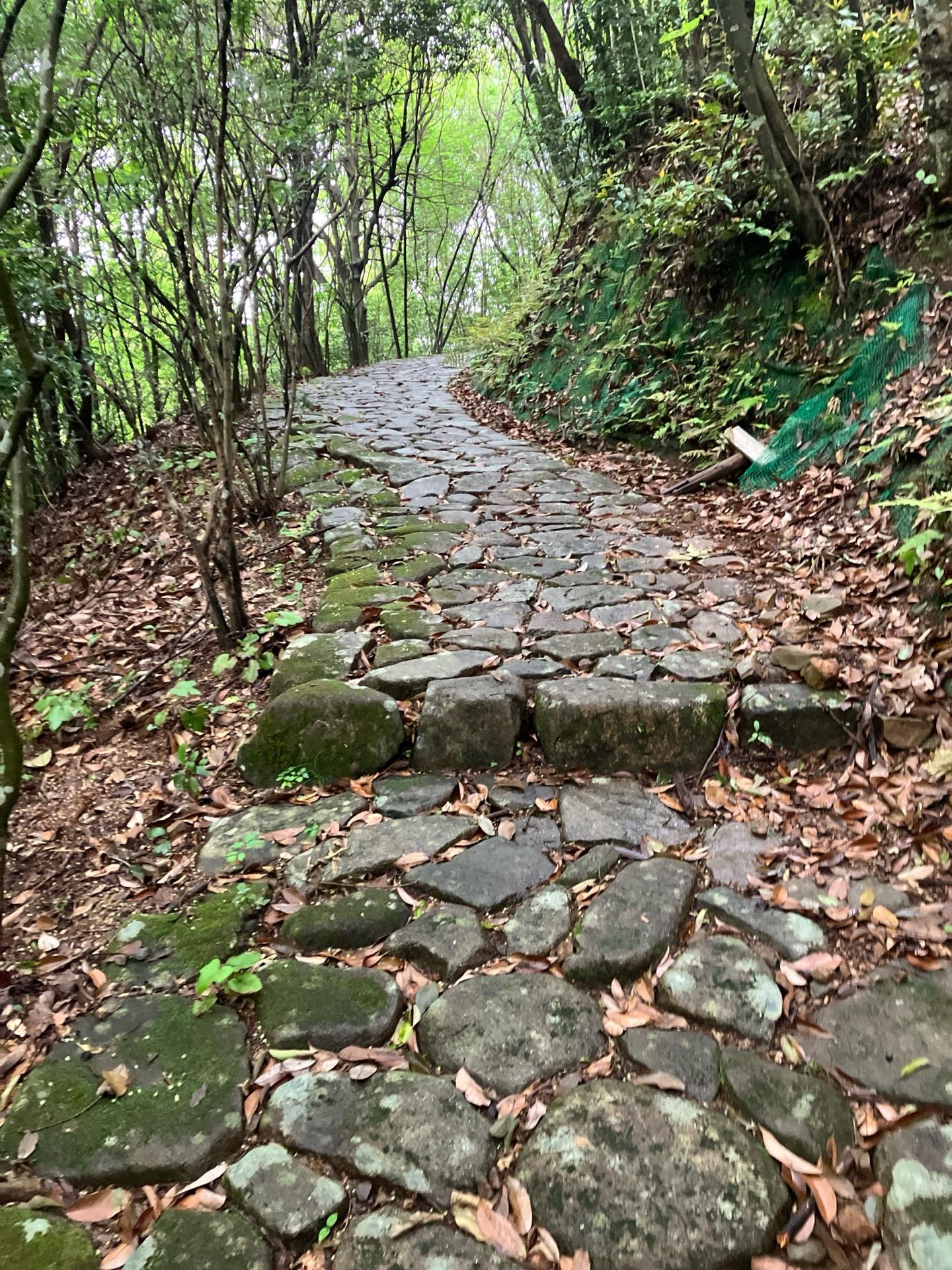 新緑の米田白山 Mt YonedaHakusan / MONさんの米田白山の活動データ | YAMAP / ヤマップ