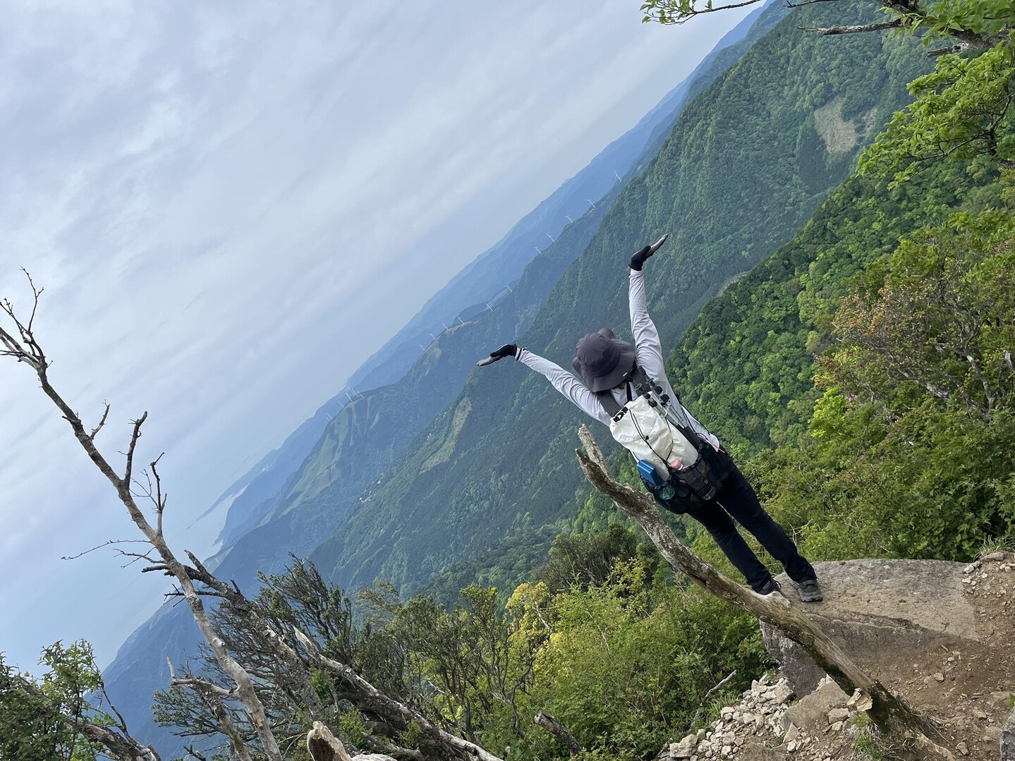 シャクナゲの咲く頃に会いたかったニ郎と三郎 '24-㊹㊺ / wr18_mtloverさんの天城山・鉢ノ山・三筋山の活動データ | YAMAP ...