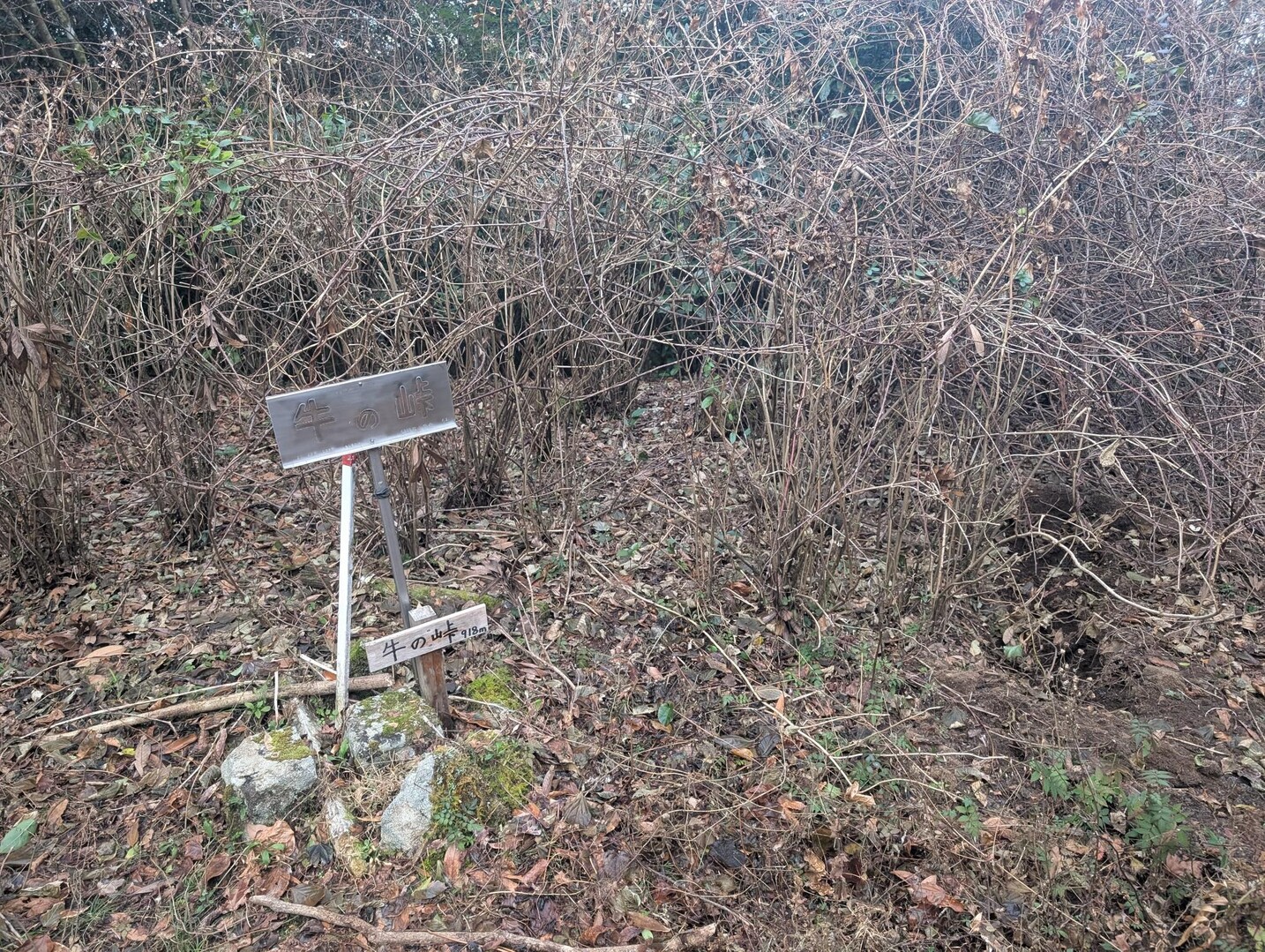 牛の峠（九州100名山Ver.YAMAPおかわり中№108/112） / sw32さんの牛の峠の活動データ | YAMAP / ヤマップ