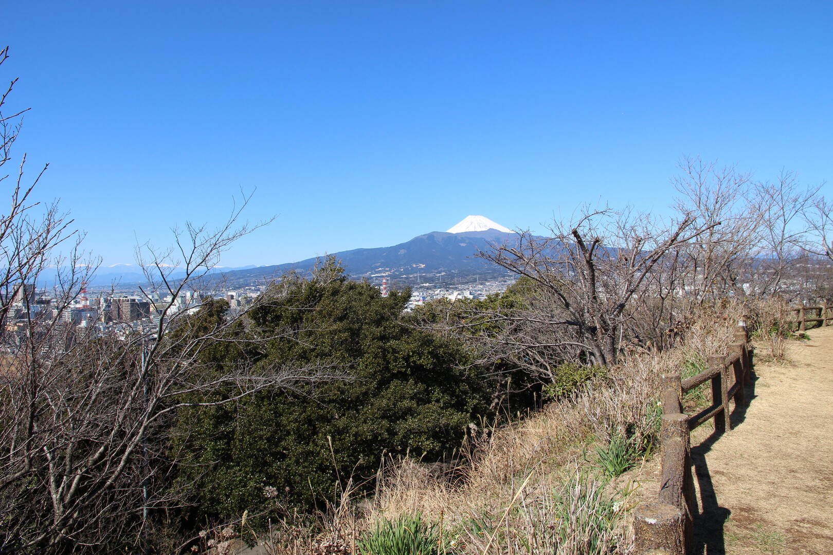 香貫山・横山 / YYさんの沼津アルプス・鷲頭山・香貫山の活動データ | YAMAP / ヤマップ