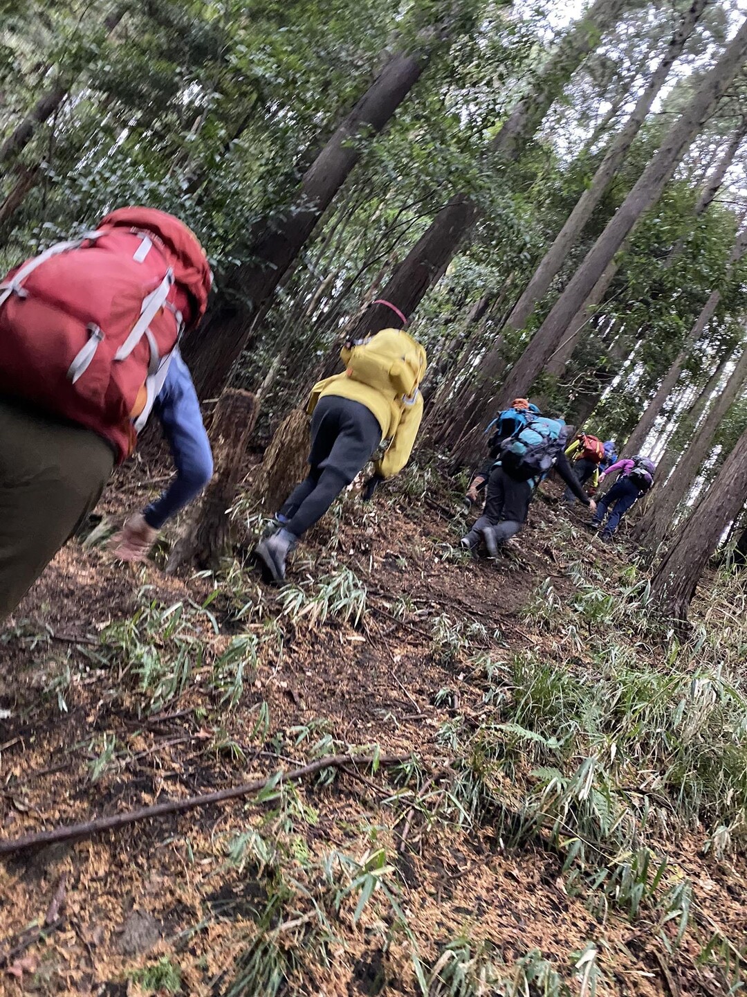 みんなで龍王山・初瀬山 / Abu Tsubasaさんの三輪山・巻向山・龍王山の活動データ | YAMAP / ヤマップ