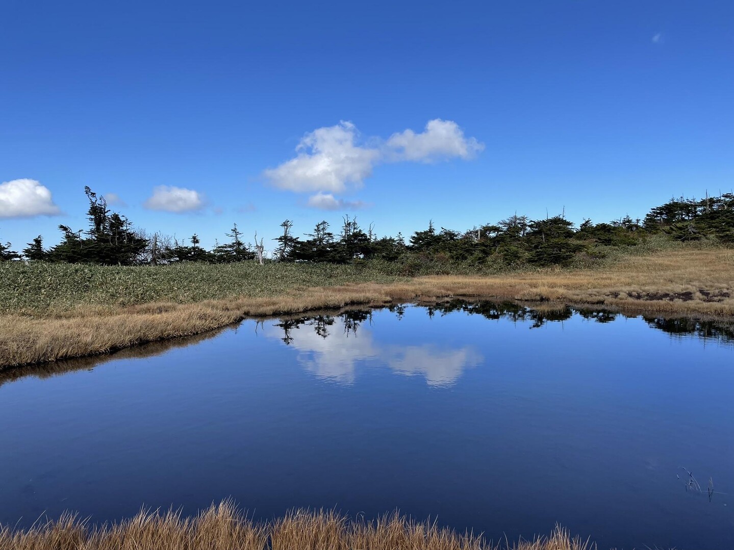 日本百名山 晴天無風の苗場山🤗 / Tetsuさんの苗場山・赤倉山・佐武流山の活動データ | YAMAP / ヤマップ