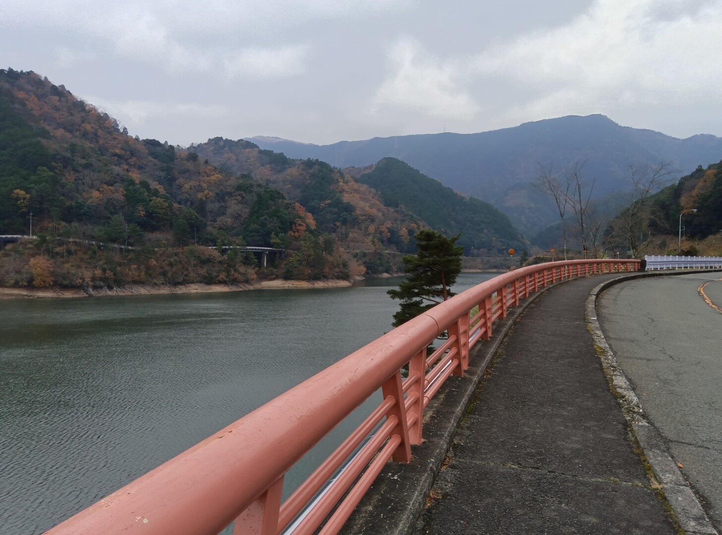 滝畑ラン-2024-12-22 / あゆみ（歩人ほびっと）さんの岩湧山・一徳防山・三石山の活動データ | YAMAP / ヤマップ