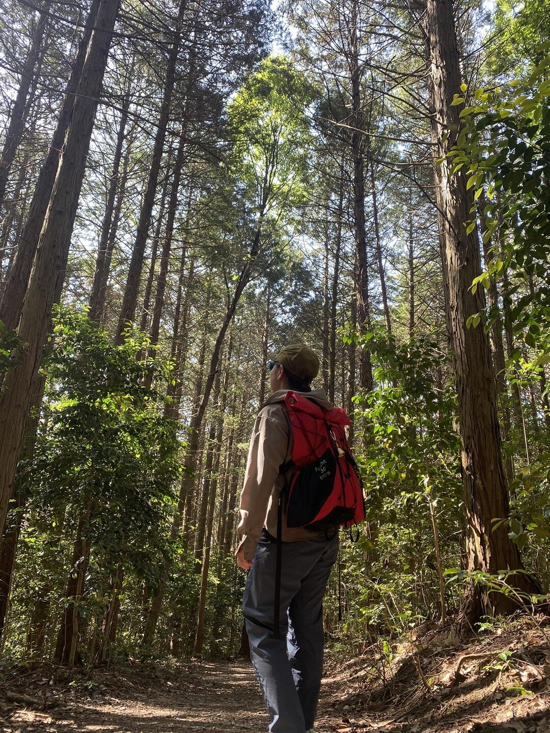 記念日登山 福山・和霊山・由加山・幸山 / joeさんの福山・江田山・高鳥居山の活動データ | YAMAP / ヤマップ