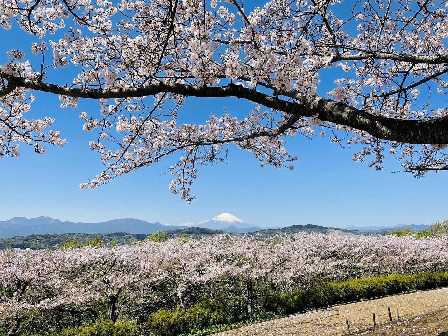 こんにちは！今日は快晴に恵まれた休日にな... / Mtrさんのモーメント | YAMAP / ヤマップ