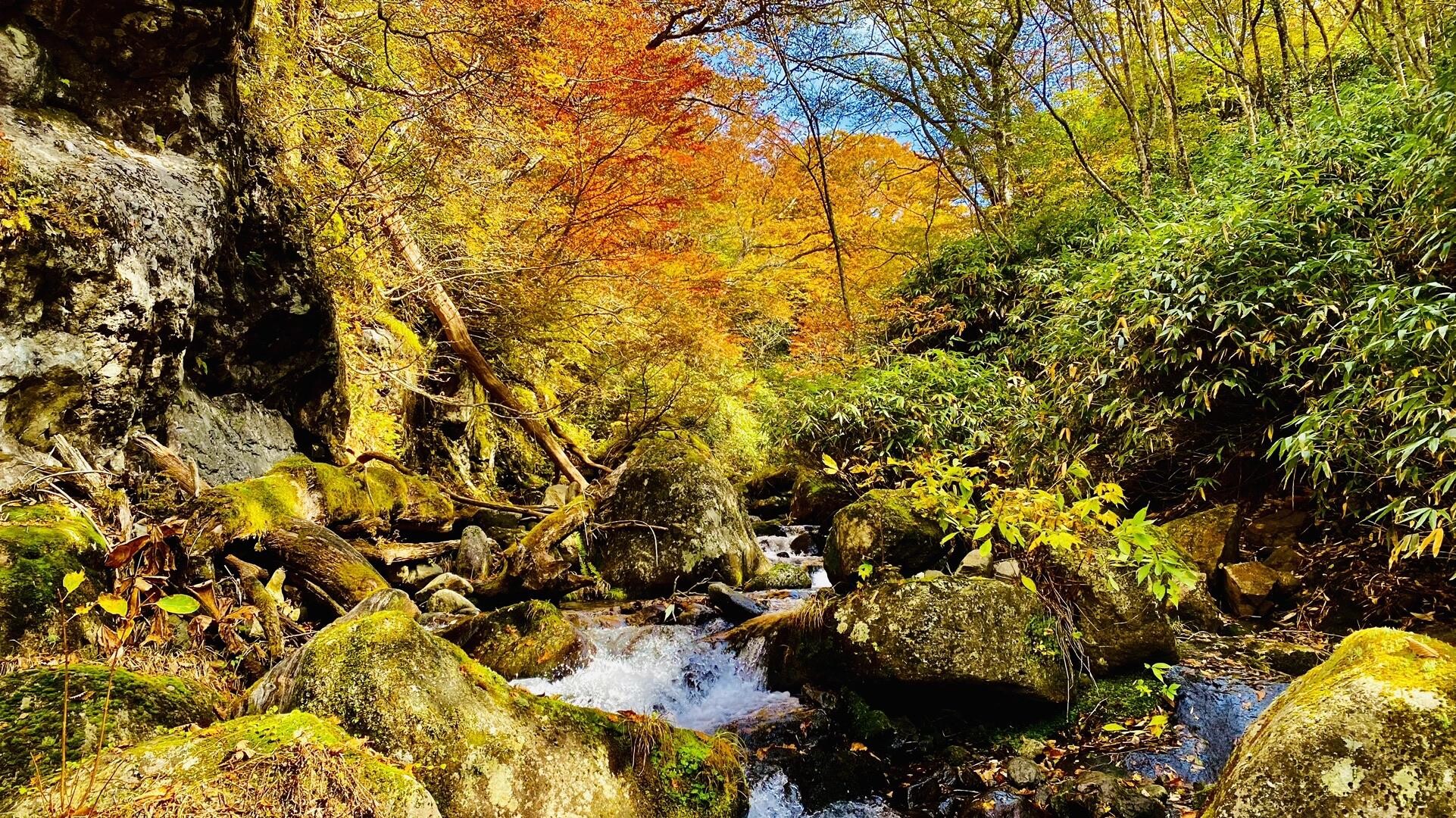 計画とはモロ違うが、 紅葉の🍁山歩き！を堪能 / Sakakenさんの茶臼岳（那須岳）・三本槍岳・赤面山の活動データ | YAMAP / ヤマップ