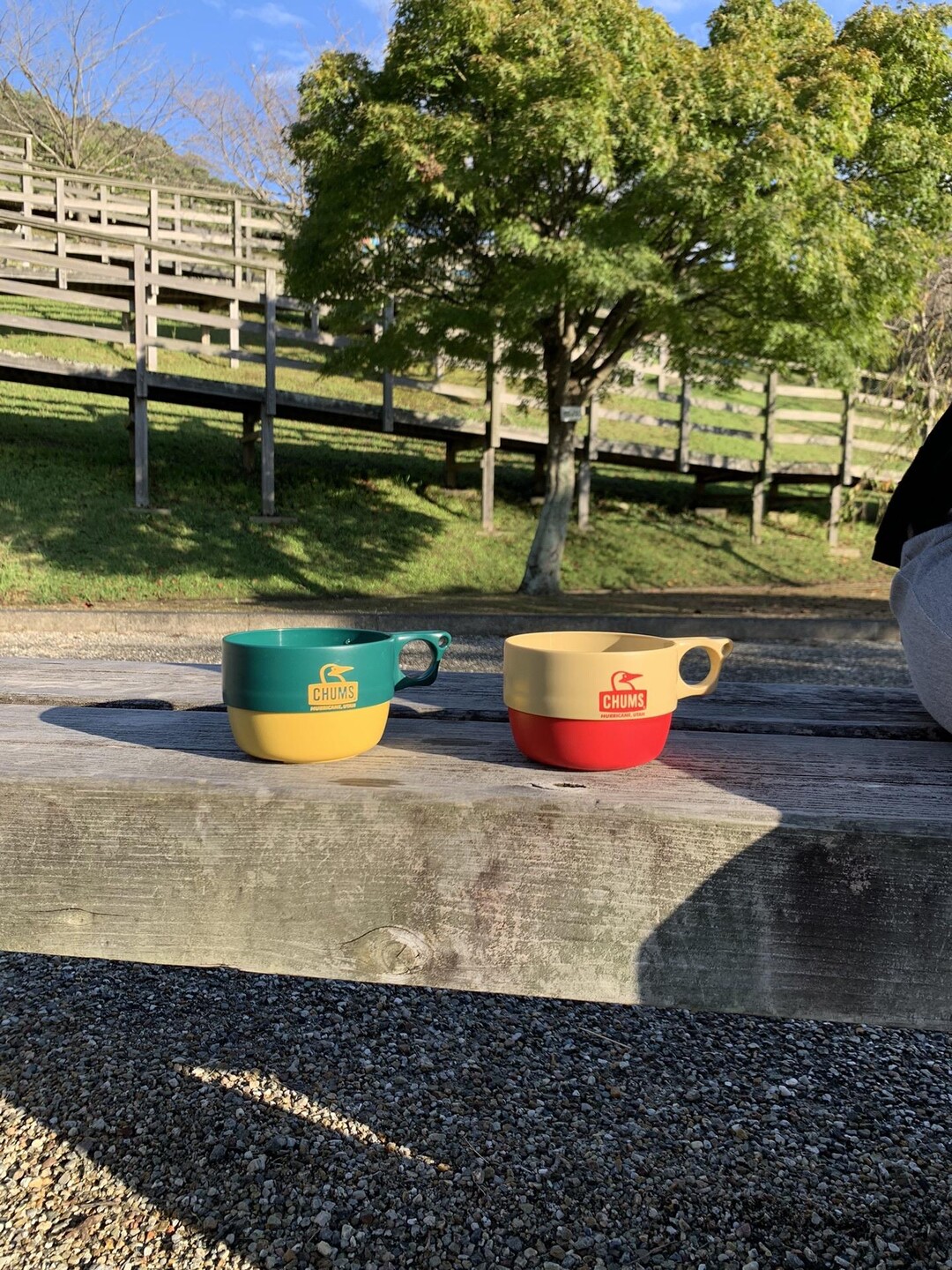 五井山で😊😊 / Kingさんの五井山・宮路山・御堂山の活動データ | YAMAP / ヤマップ