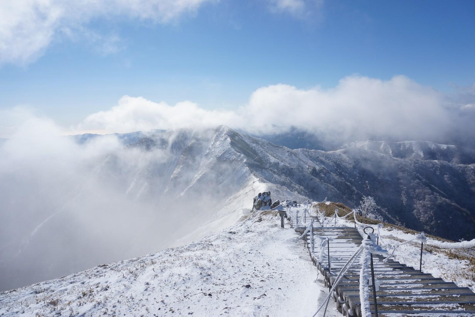New year Jiro 2024 / Akiさんの剣山の活動データ | YAMAP / ヤマップ
