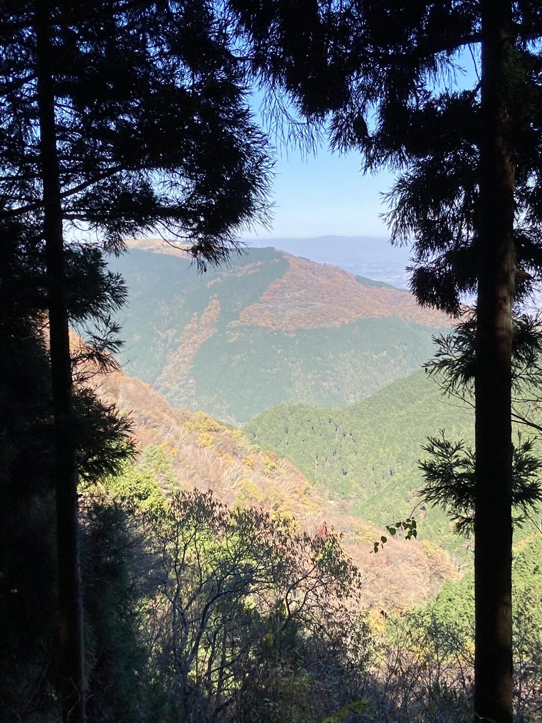 大日岳・金剛山・葛木岳 / Ryouさんの金剛山・二上山・大和葛城山の活動データ | YAMAP / ヤマップ