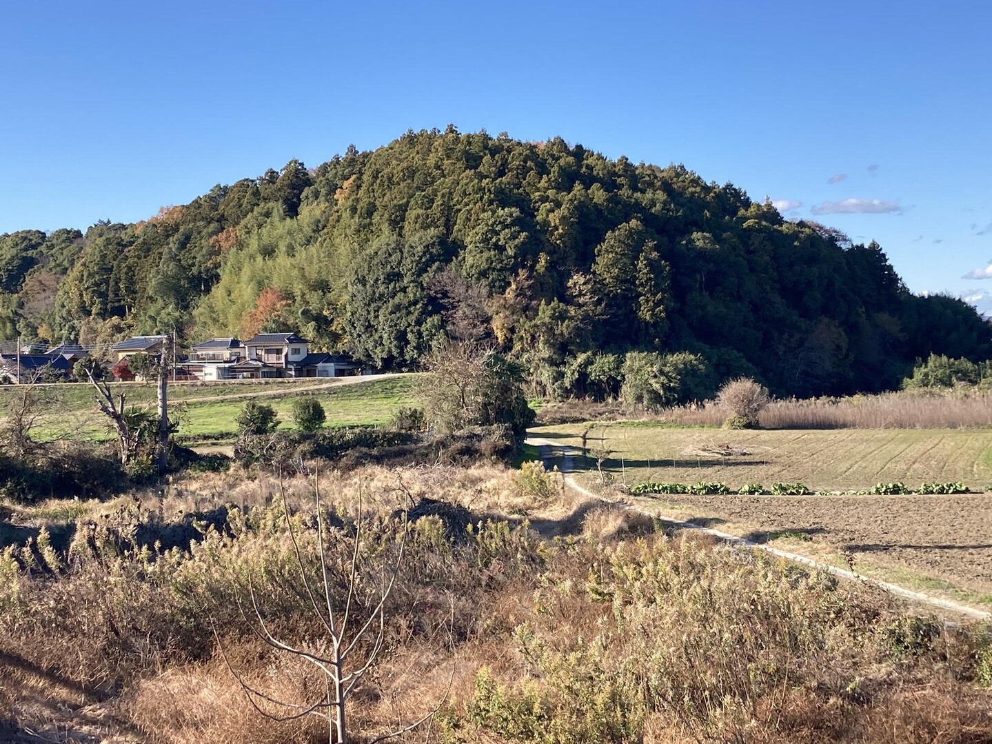 峯山・焼付山 / taka.run-skiさんの日立アルプストレイル・神峰山（神峯山）の活動データ | YAMAP / ヤマップ