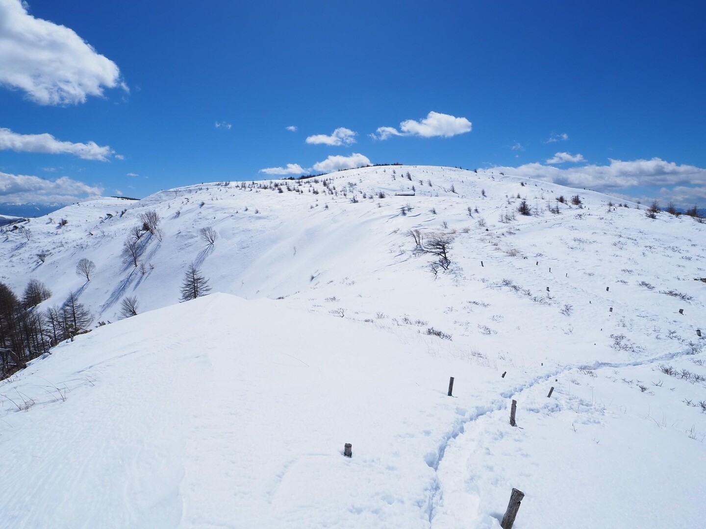 鉢伏山 - 20240318 / Tadaboxさんの鉢伏山・高ボッチ山・三峰山の活動データ | YAMAP / ヤマップ