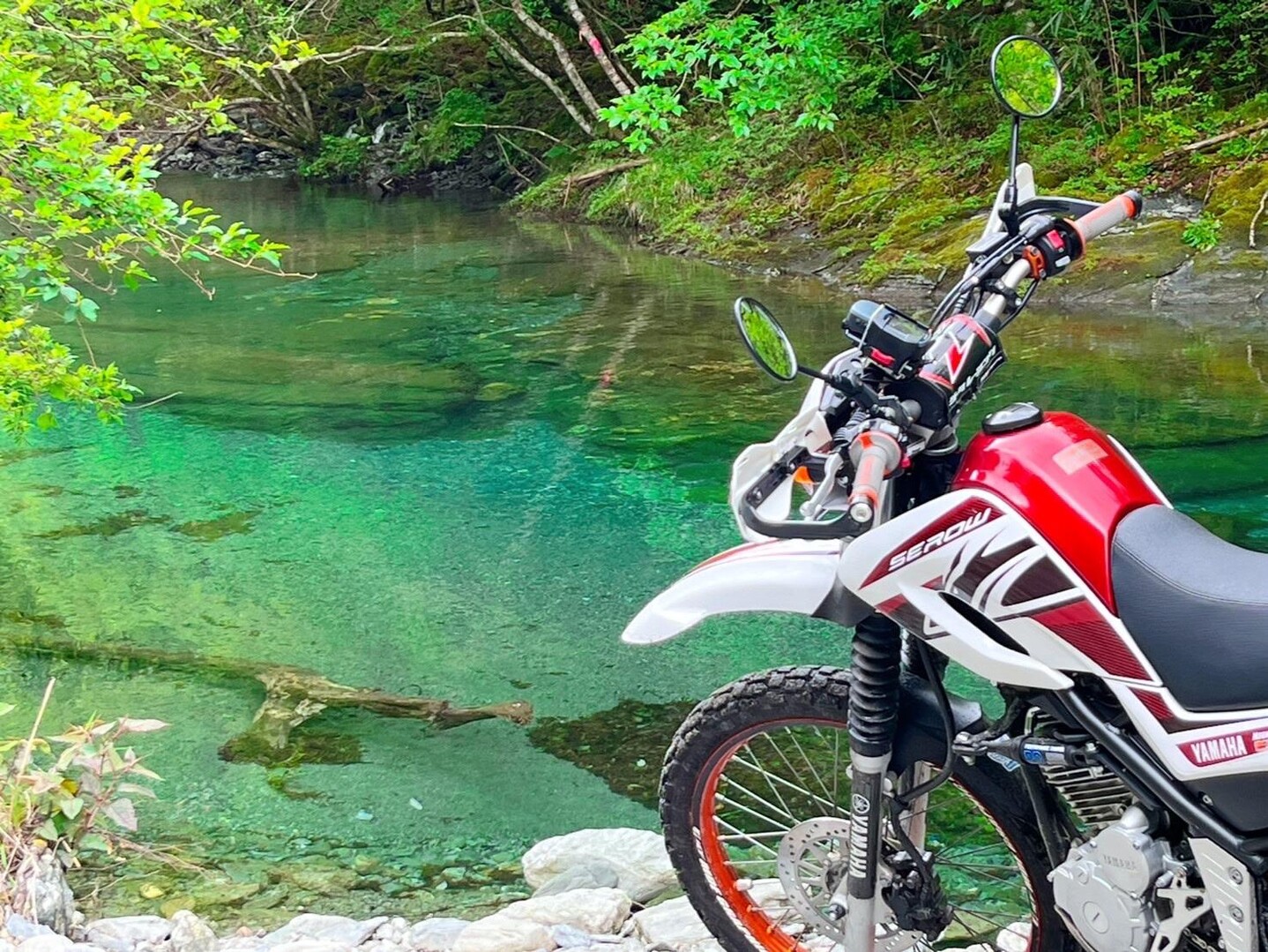 四国・ダム林道群🏍️ / kazさんの稲叢山の活動データ | YAMAP / ヤマップ