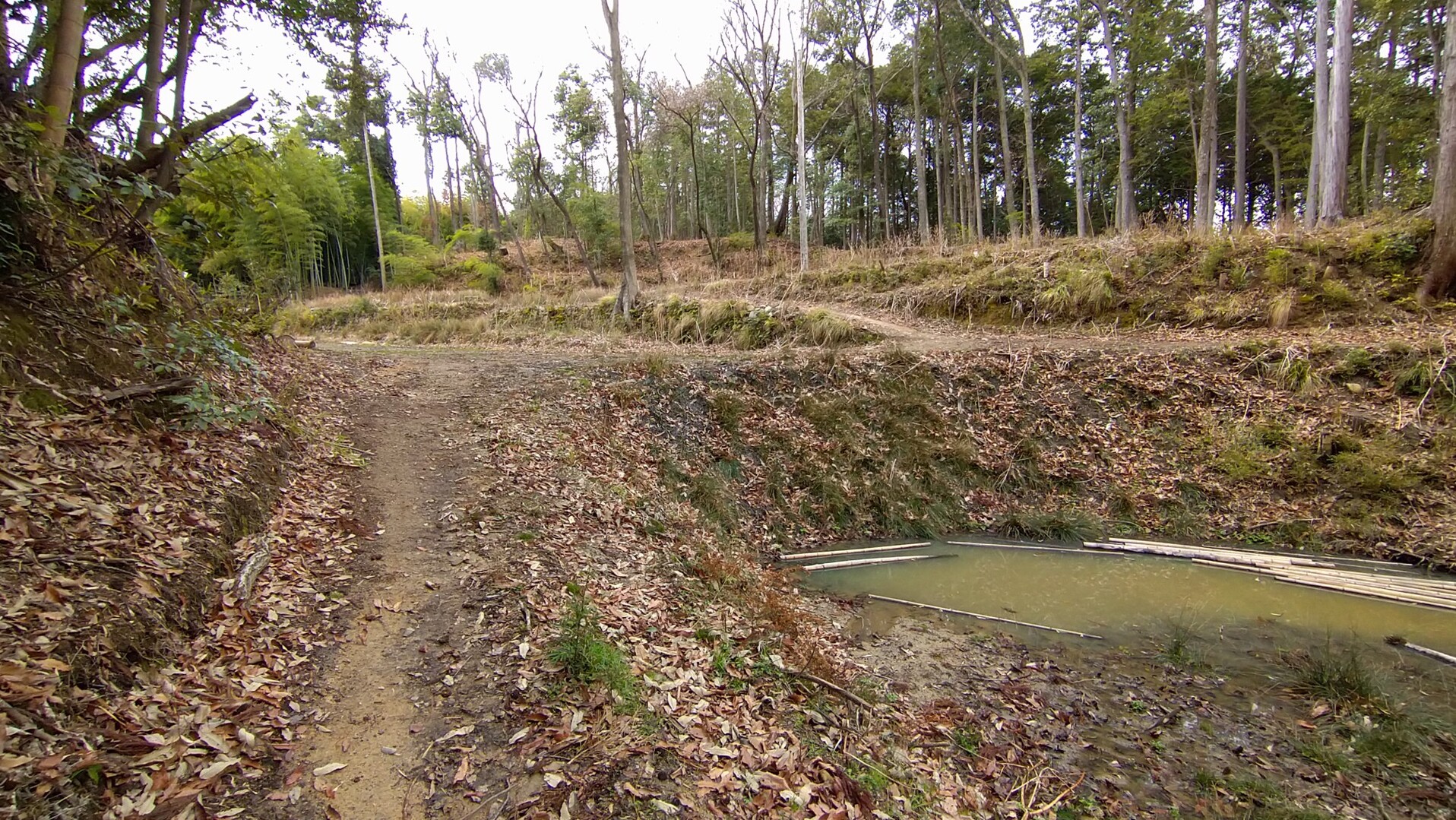 kame11さんの投稿したフィールドメモ | YAMAP / ヤマップ