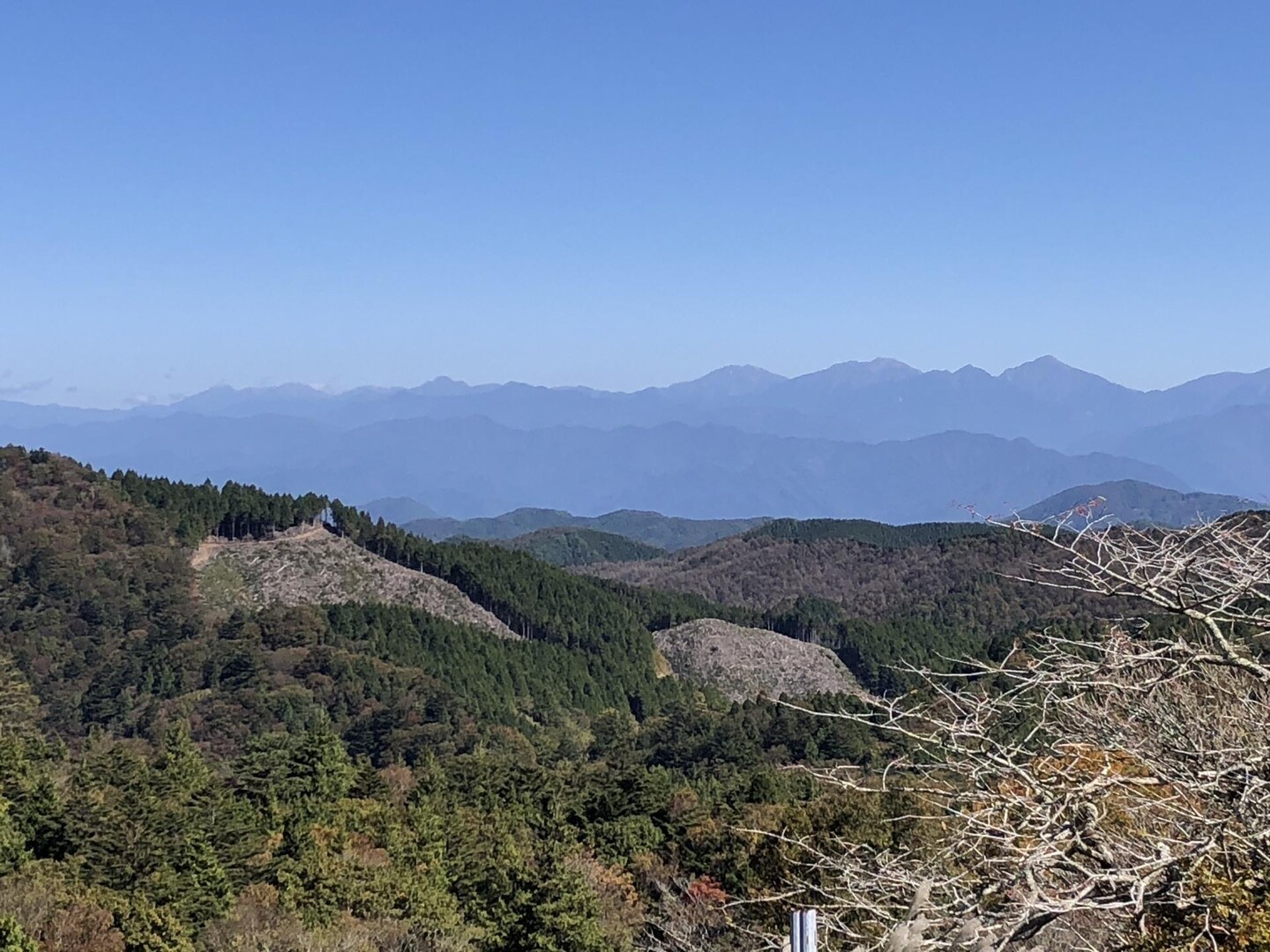 「茶臼山で残り花サーチ」 / zaucatsさんの茶臼山・萩太郎山の活動データ | YAMAP / ヤマップ