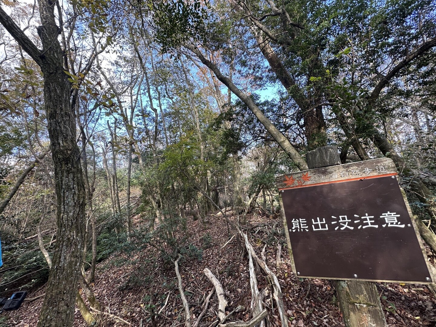 釈迦岳・ポンポン山 / ポンポン山・釈迦岳・小塩山・若山の写真32枚目 | YAMAP / ヤマップ